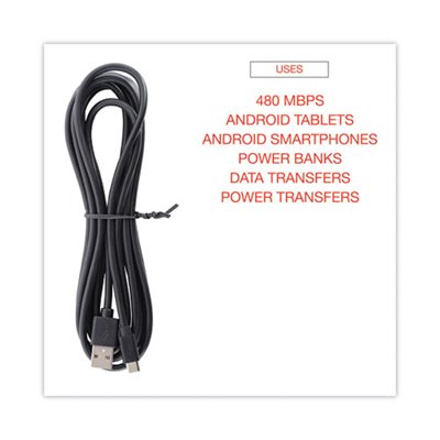 CABLE, USB TO MICRO USB 10FT BLACK
